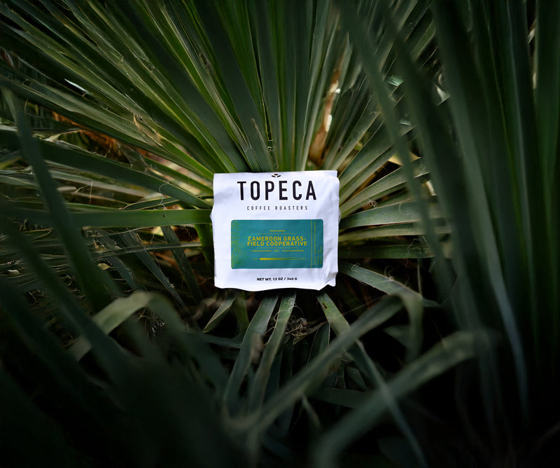 Topeca Coffee, Diligently Crafted in Tulsa, OK – Topeca Coffee Roasters